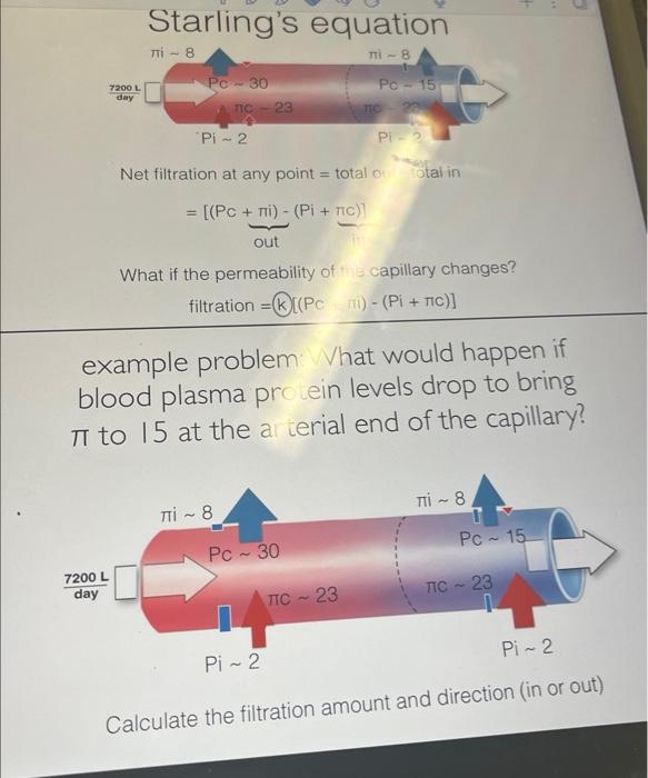 Solved Starling's equation Net filtration at any point = | Chegg.com Solved Starling's equation Net filtration at any point = | Chegg.com