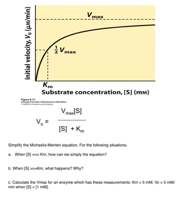 Solved Vmax Initial velocity, V. (um/min) /V max Km | Chegg.com