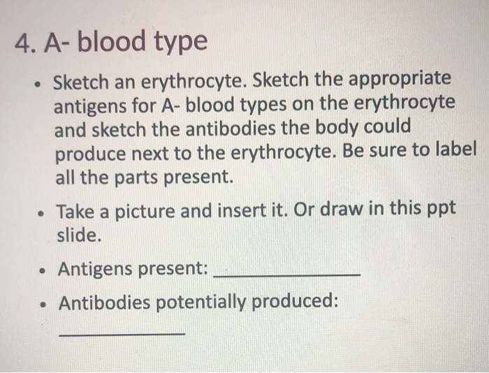 Solved 4. A-blood type Sketch an erythrocyte. Sketch the | Chegg.com