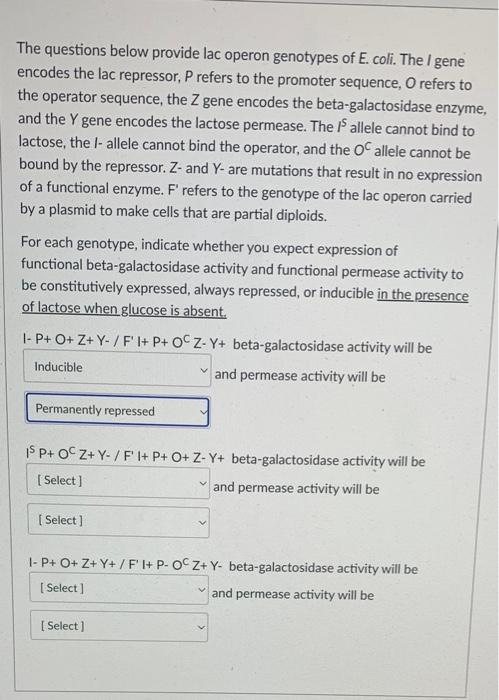 Solved The questions below provide lac operon genotypes of | Chegg.com