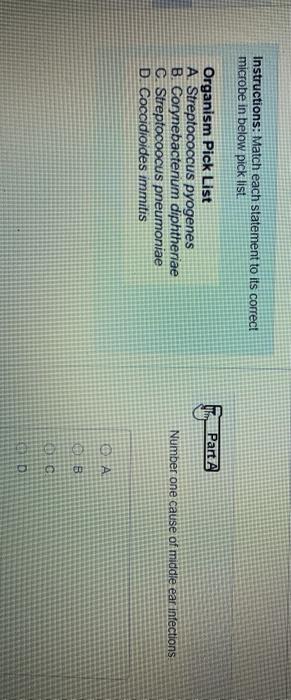 Solved Instructions: Match each statement to its correct | Chegg.com