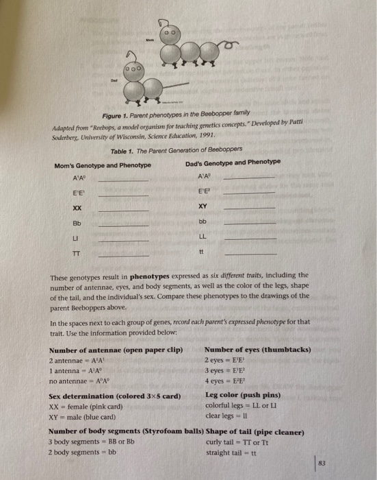 Solved Ooo Figure 1. Parent phenotypes in the Boebopper | Chegg.com