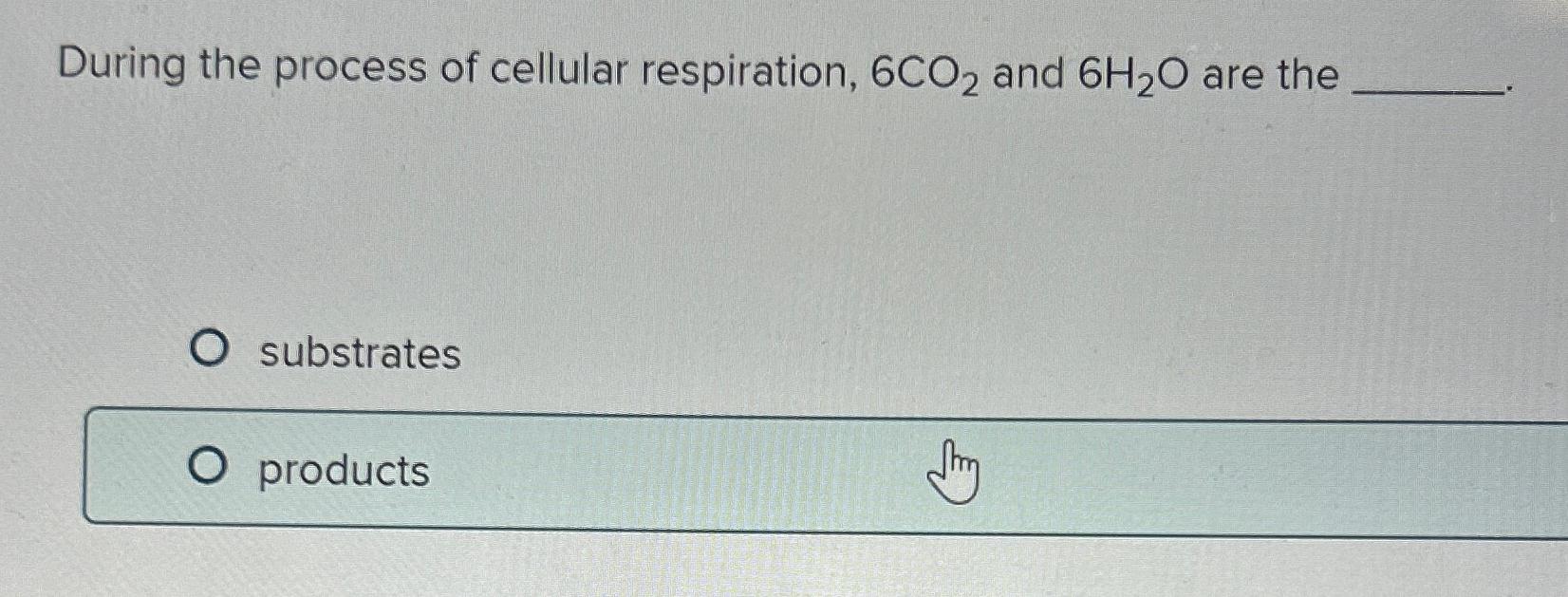 Solved During the process of cellular respiration, 6CO2 ﻿and | Chegg.com