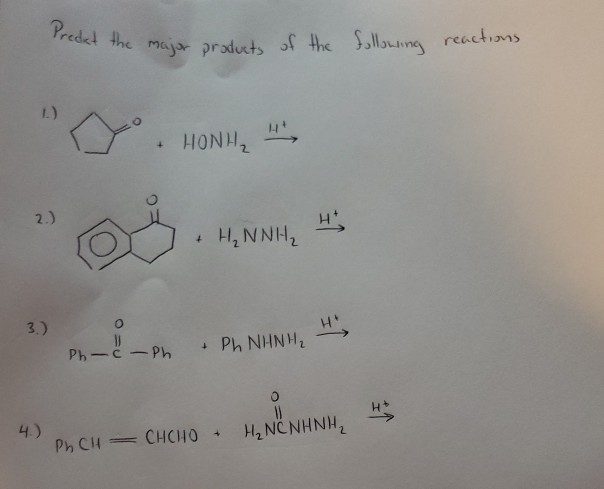 Solved Predat the major products of the following reactions | Chegg.com