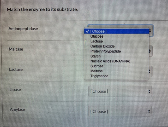 Solved Match the enzyme to its substrate. Aminopeptidase | Chegg.com