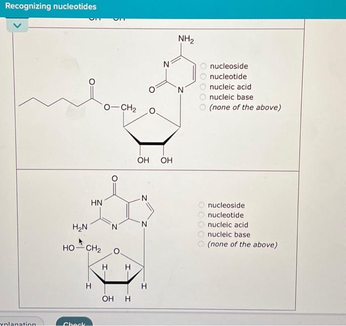 Solved Classify each molecule: Recognizing nucleotides | Chegg.com