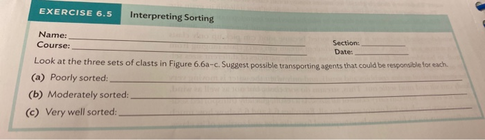 EXERCISE 6.5 Interpreting Sorting Section: Date: | Chegg.com