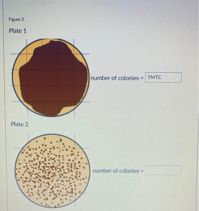 Solved Figure 3. Plate 1 number of colonies = TMTC Plate 2 | Chegg.com