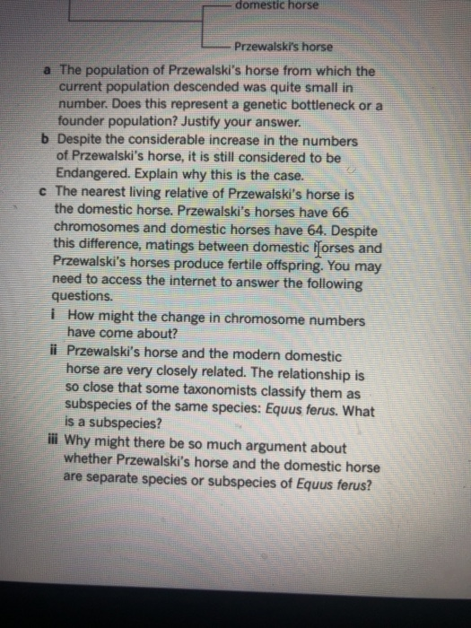 Solved 33 The genus Equus includes several species, both | Chegg.com