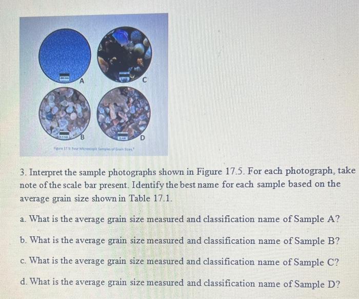 3. Interpret the sample photographs shown in Figure | Chegg.com