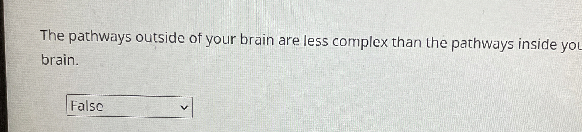 Solved The pathways outside of your brain are less complex | Chegg.com