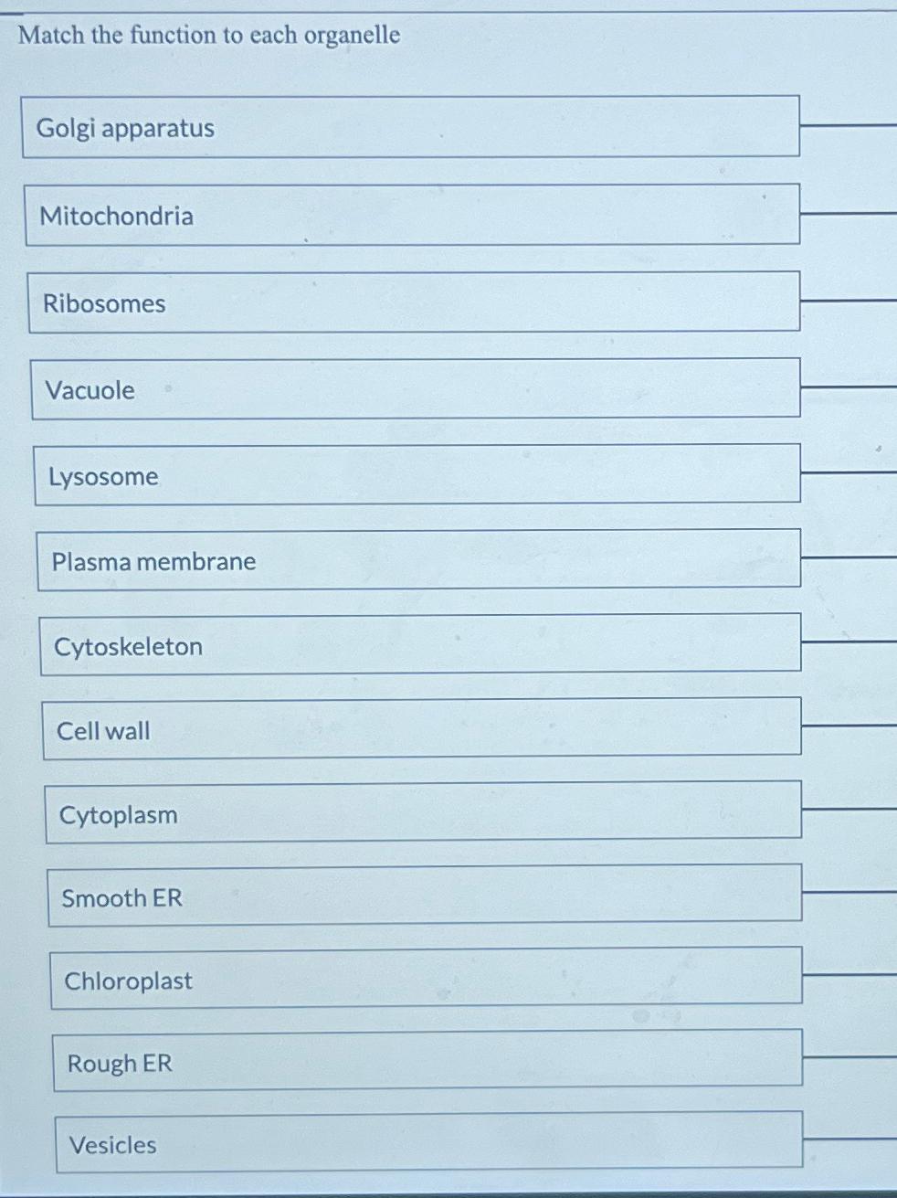 Solved Match the function to each organellePlasma | Chegg.com