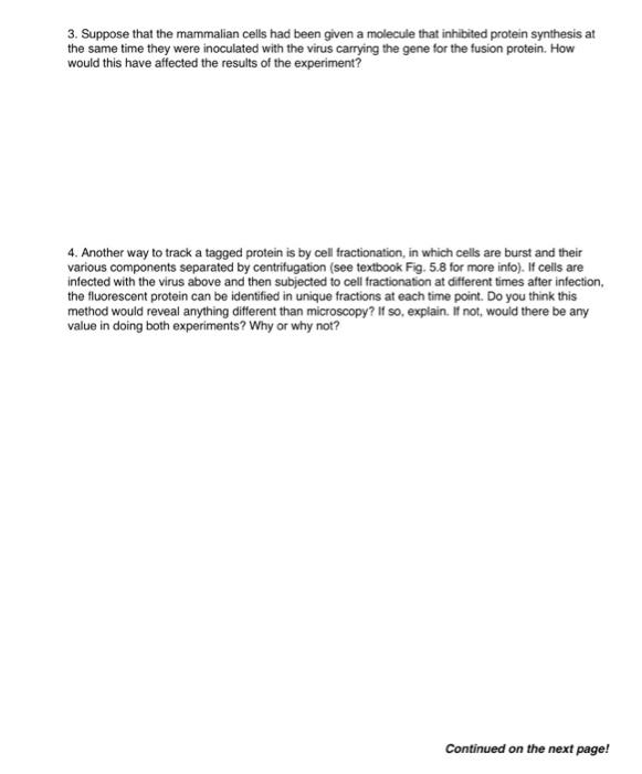 Solved Recitation \#6 Homework Name: BIOSC0150 Foundations I | Chegg.com