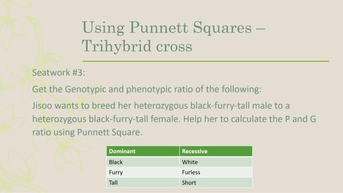 Solved Using Punnett Squares Trihybrid cross Seatwork \#3: | Chegg.com