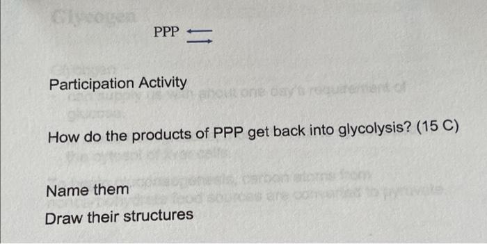 PPP Participation Activity One Day How do the | Chegg.com