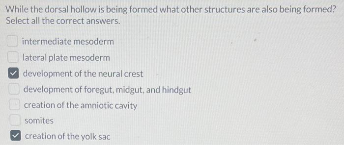 Solved While the dorsal hollow is being formed what other | Chegg.com