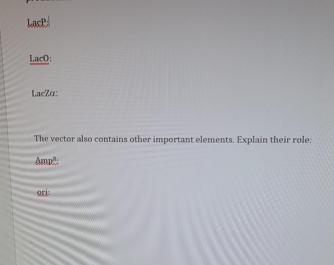 Solved Here is a simple depiction of the pSK+ vector: The | Chegg.com