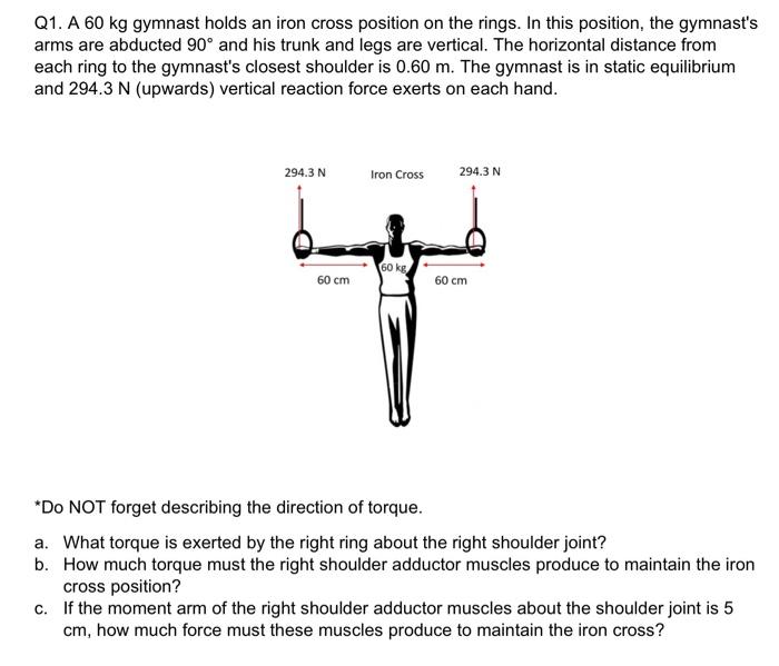 Solved Q1. A 60 kg gymnast holds an iron cross position on | Chegg.com