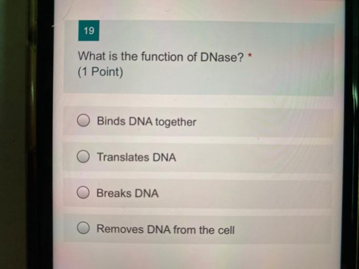 Solved 19 What is the function of DNase? * (1 Point) Binds | Chegg.com