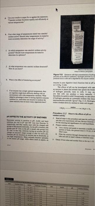 (4) Procedure 11.I Determine the effect of | Chegg.com