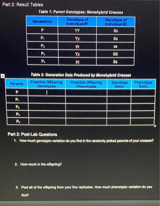Solved Part 2: Result Tables Table 1: Parent Genotypes: | Chegg.com