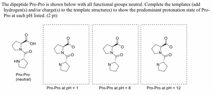 Solved The dipeptide Pro-Pro is shown below with all | Chegg.com