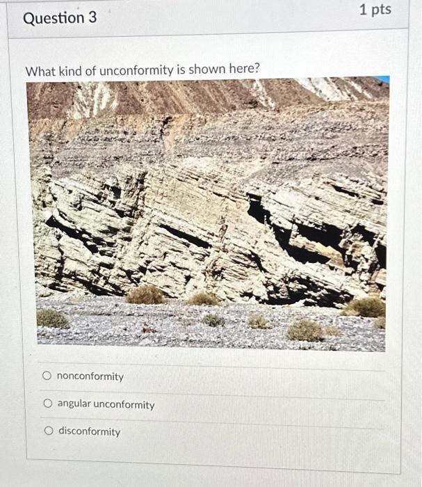 Solved What kind of unconformitv is shnwn hero? | Chegg.com