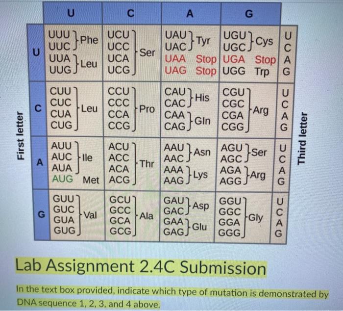 Solved 6. If the original DNA coding strand was | Chegg.com