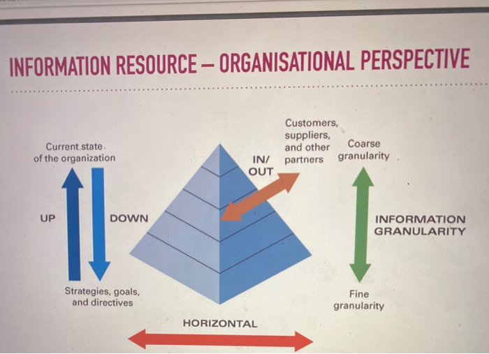Solved INFORMATION RESOURCE - ORGANISATIONAL PERSPECTIVE | Chegg.com