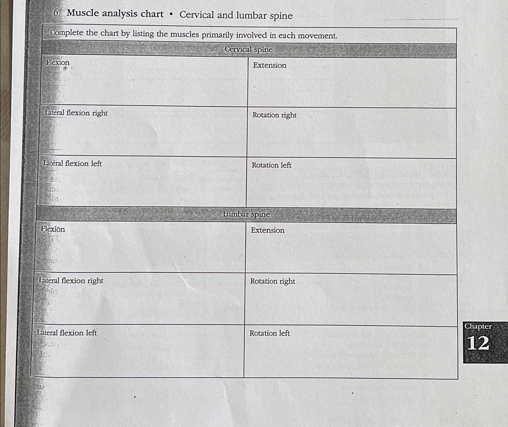 Solved Muscle analysis chart -Cervical and lumbar spine | Chegg.com