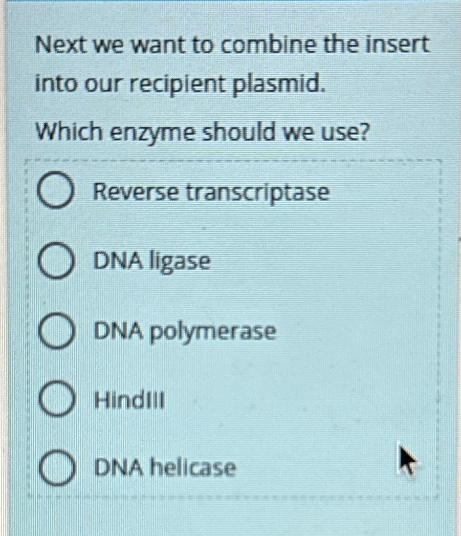 Solved Next we want to combine the insert into our recipient | Chegg.com