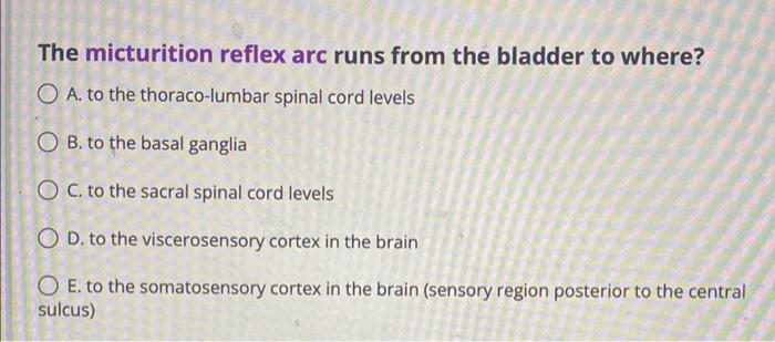 Solved The micturition reflex arc runs from the bladder to | Chegg.com