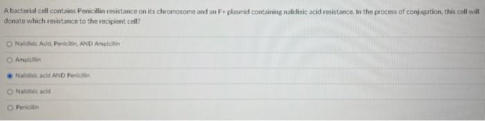 Solved A bacterial cell contains Penicillin resistance on | Chegg.com