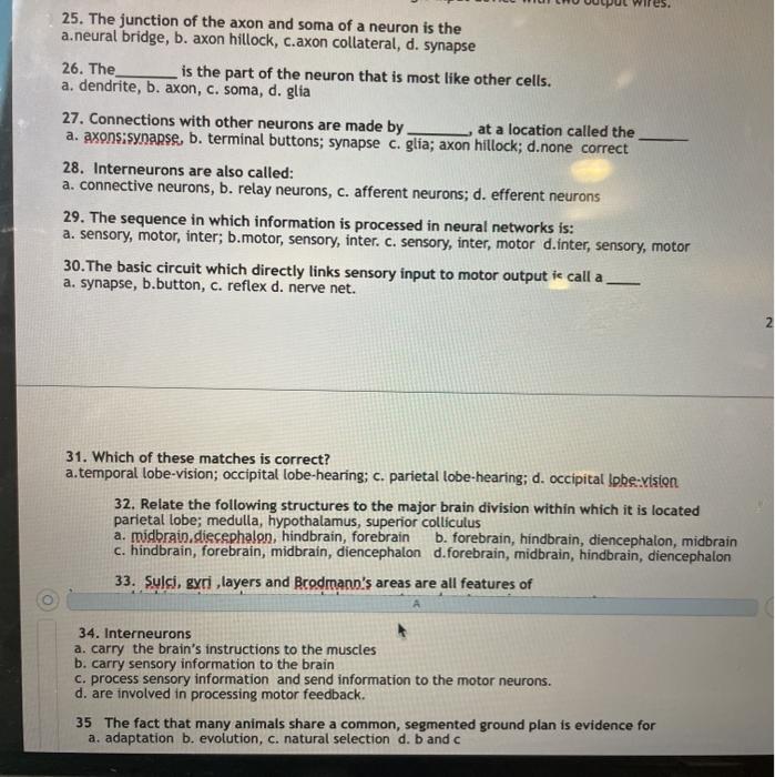 Solved 25. The junction of the axon and soma of a neuron is | Chegg.com