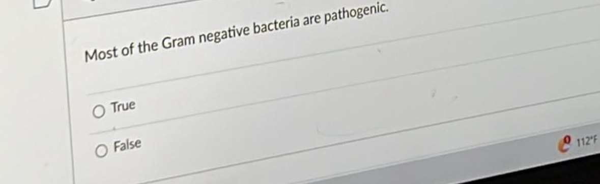 Solved Most of the Gram negative bacteria are | Chegg.com