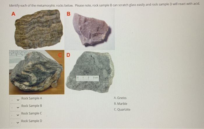 Solved Match each of the metamorphic rock samples below with | Chegg.com