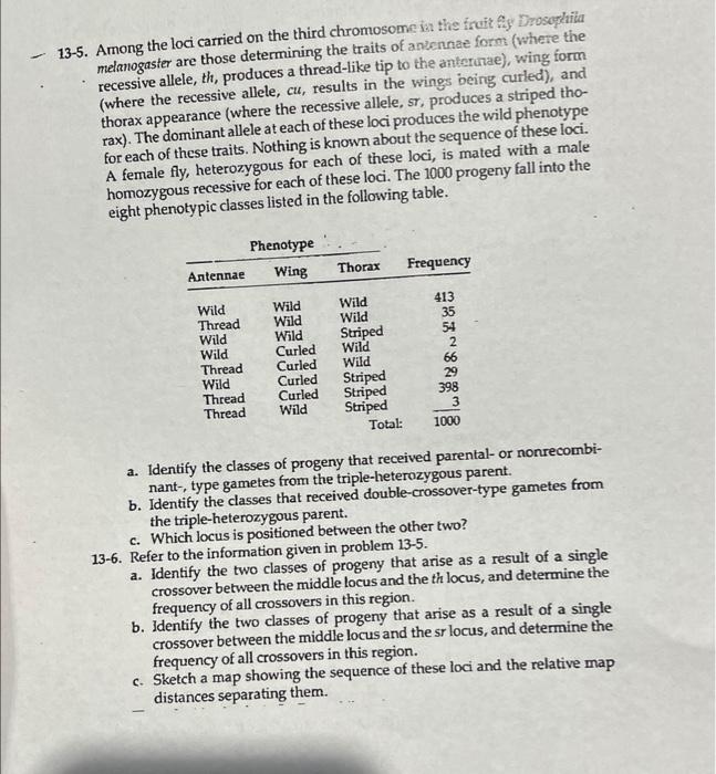 Solved 13-5. Among the loci carried on the third chromosome | Chegg.com
