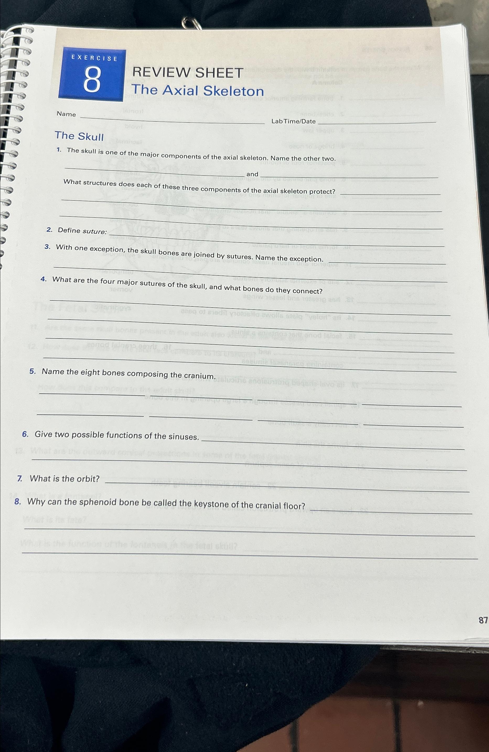 Solved EXERCISEREVIEW SHEETThe Axial SkeletonNameLab | Chegg.com