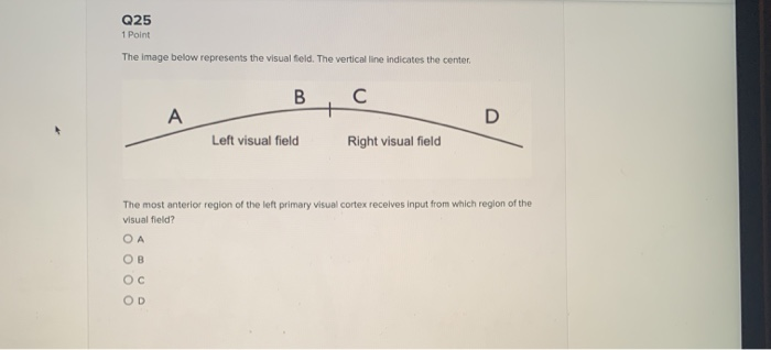 Solved Q25 1 Point The image below represents the visual | Chegg.com