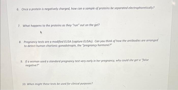 Solved 6. Once a protein is negatively charged, how can a | Chegg.com
