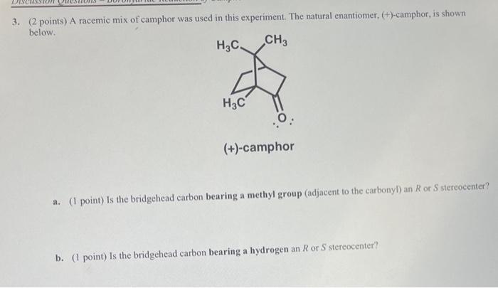 Solved A racemic mix of camphor was used in this experiment. | Chegg.com