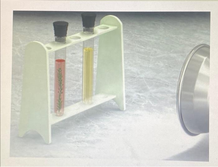 Solved 9. Phenol red is a pH-sensitive dye that turns | Chegg.com