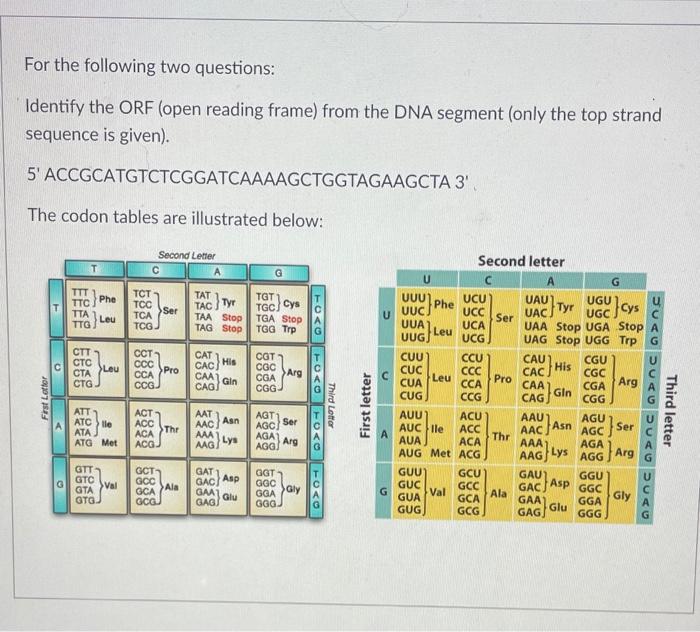 Solved For the following two questions: Identify the ORF | Chegg.com