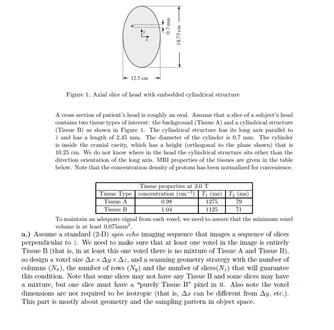 Solved Figure 1: Axial slice of head with embedded | Chegg.com