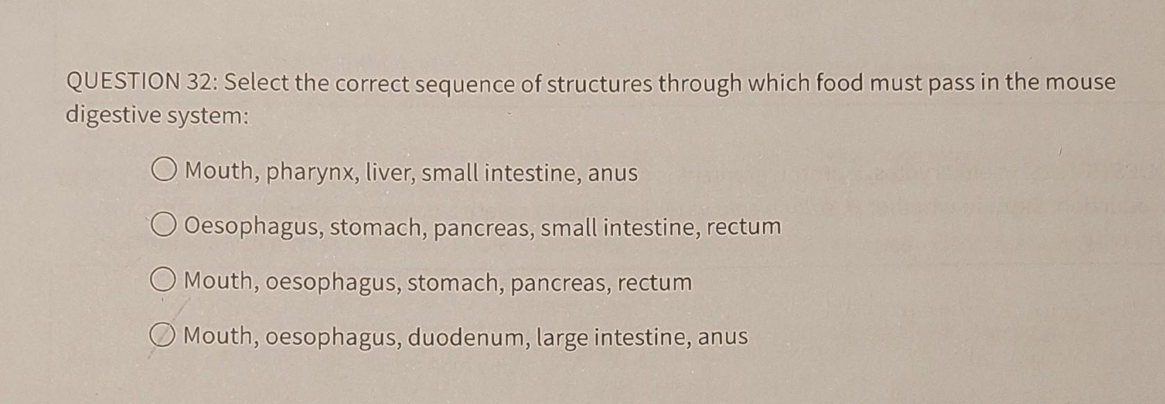 Solved QUESTION 32: Select the correct sequence of | Chegg.com