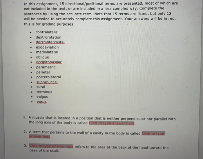 Solved In this assignment, 15 directional/positional terms | Chegg.com
