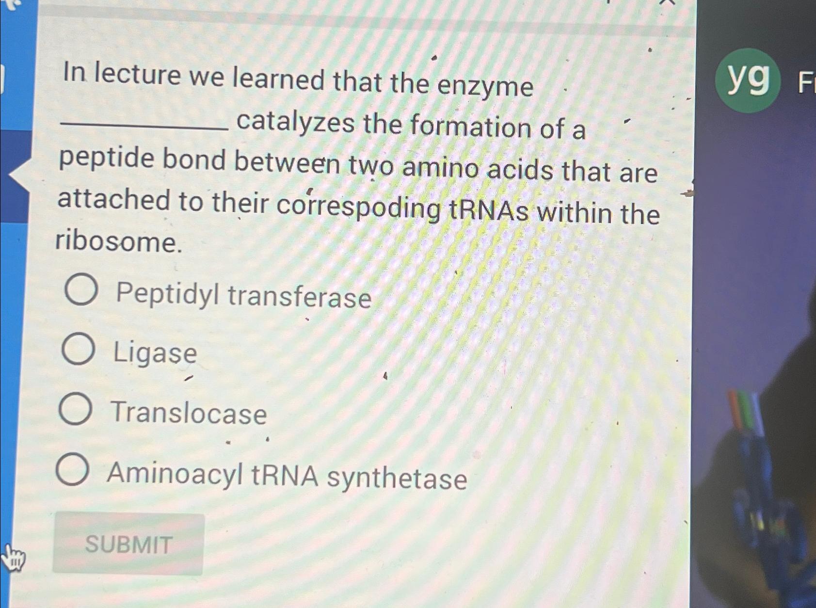 Solved In lecture we learned that the enzyme catalyzes the | Chegg.com