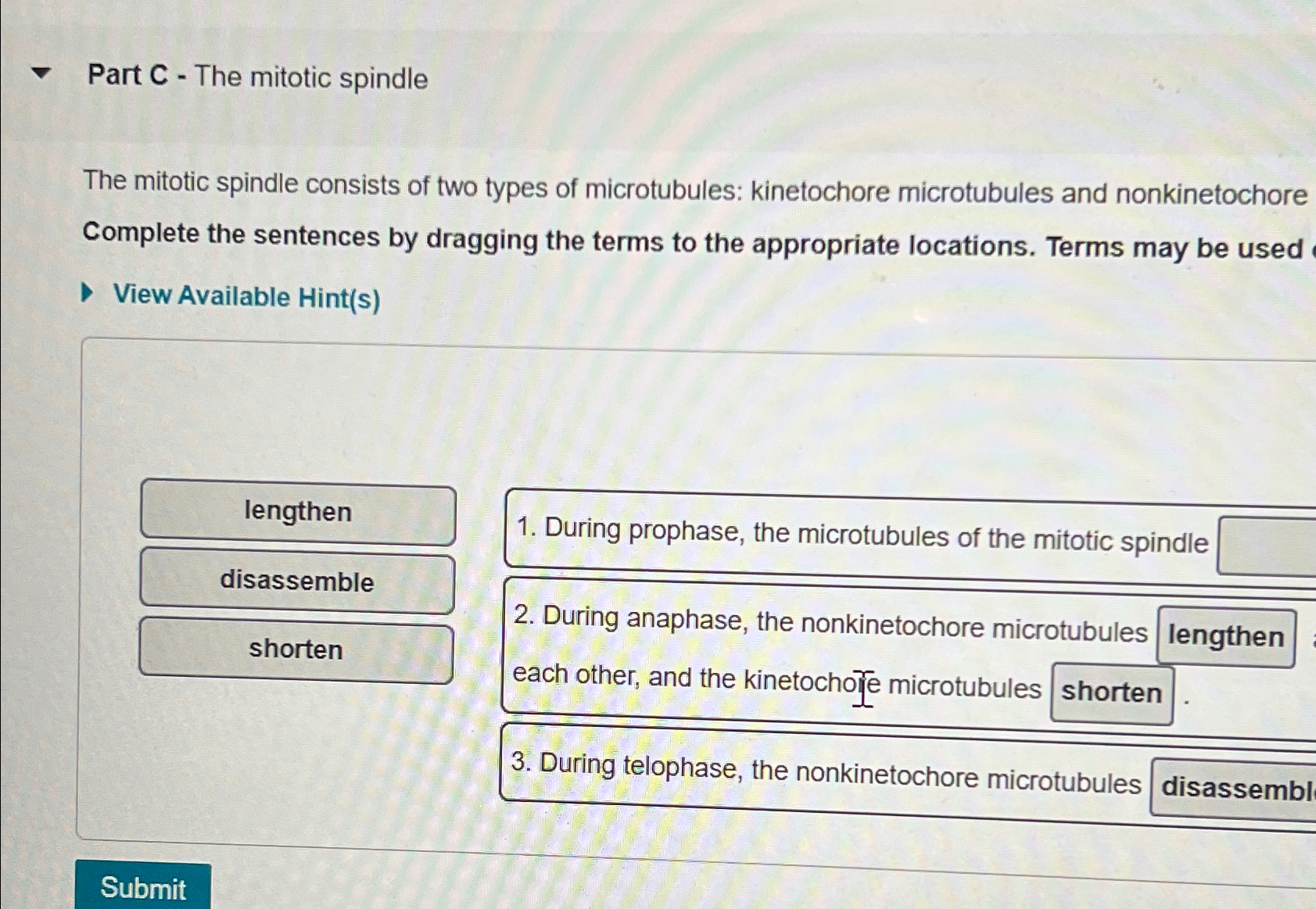 Solved Part C - ﻿The mitotic spindleThe mitotic spindle | Chegg.com