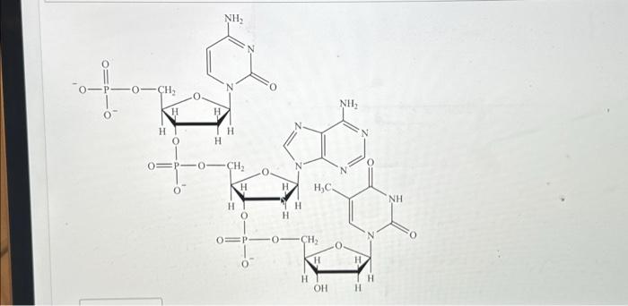 Solved A trinucleotide is shown below. Fa in the three | Chegg.com