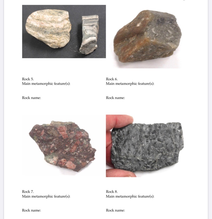 Solved Lab 10. Metamorphic Rocks Lab. Lab Manual Chapter 7. | Chegg.com